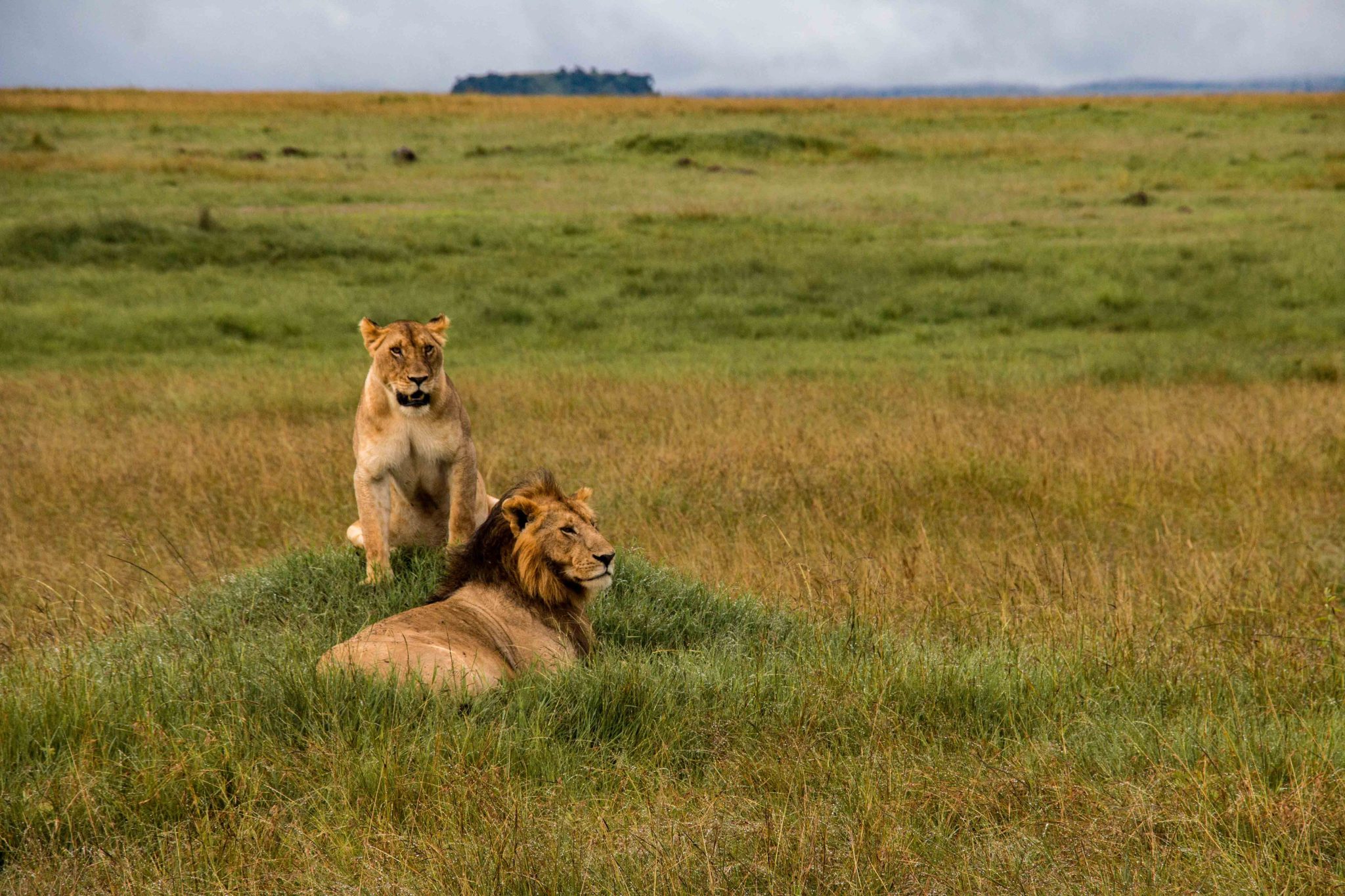 Serengeti National Park - Ntambo Adventures